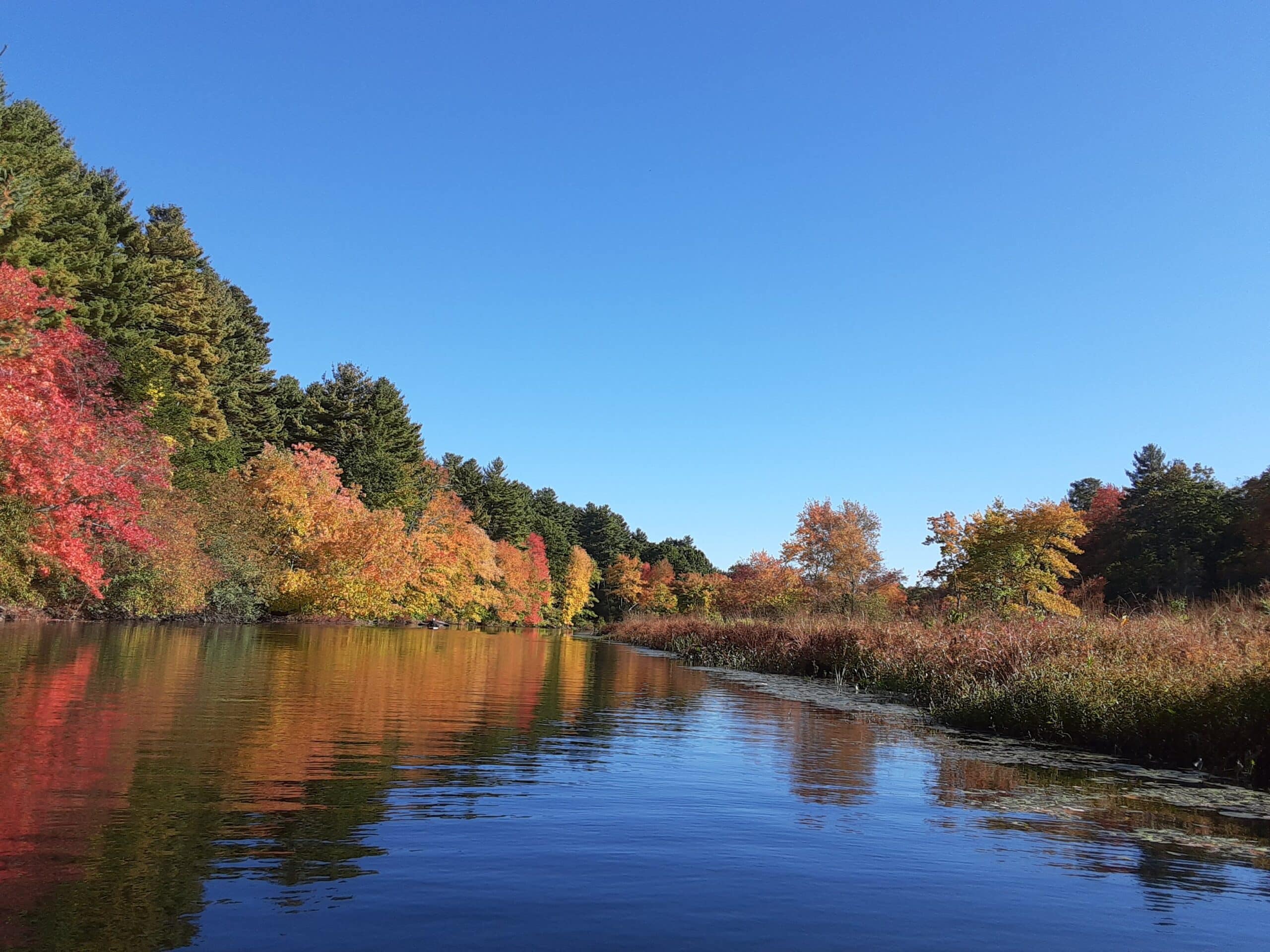 "The River," Rabbi Elaine Zecher's Shabbat Sermon/Shabbat Awakenings ...