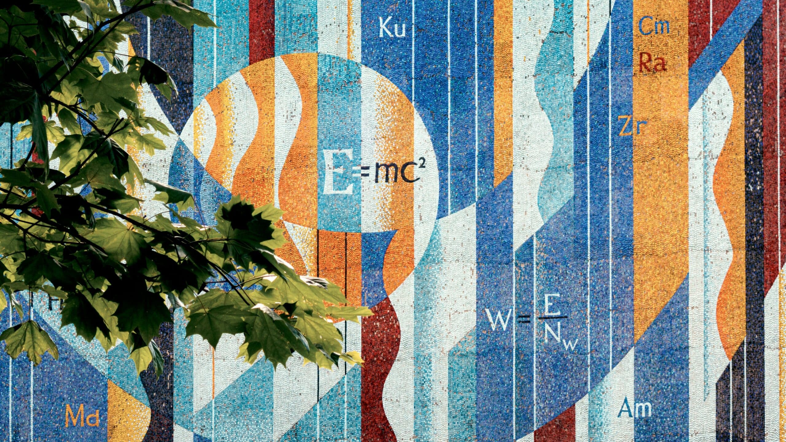 "Theory of Relativity," Rabbi Elaine Zecher's Shabbat Awakenings ...